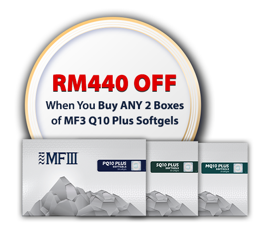 Home - MF3 Malaysia